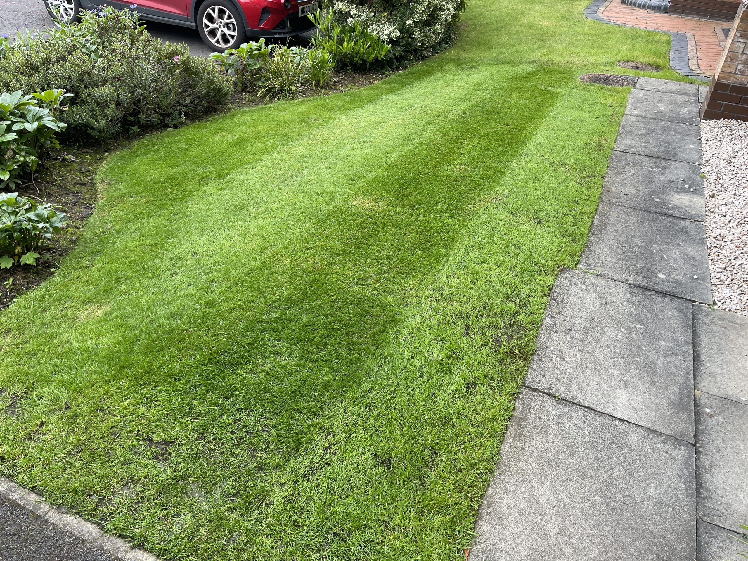 Grass Cutting and Edging Services - Four Seasons Garden Services ...